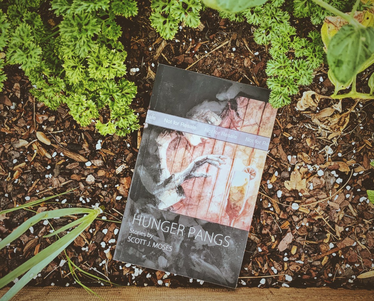 Book Review: Hunger Pangs | Reading Vicariously